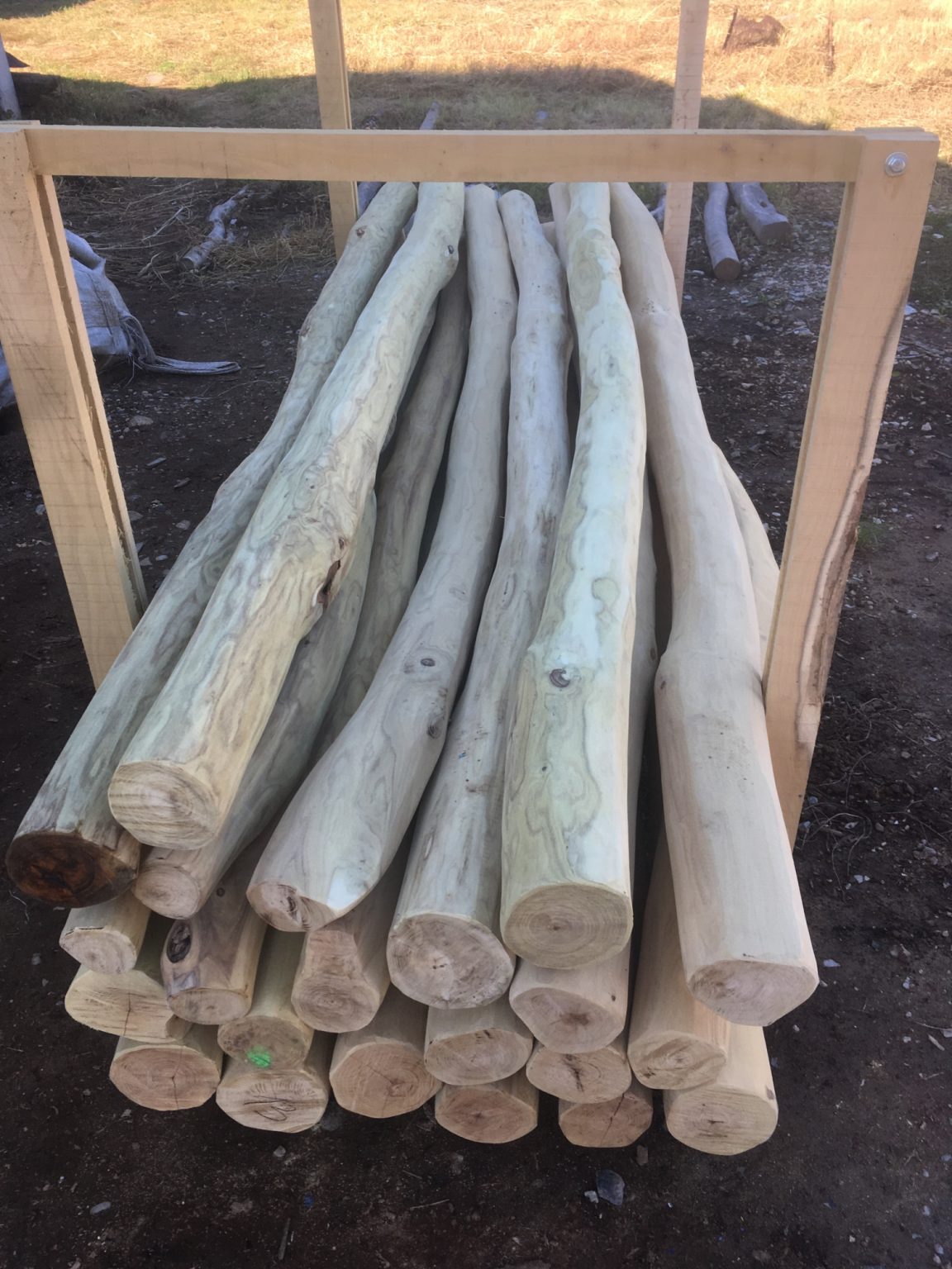 European Oak Wood Supplier - greentimbercoltd.com