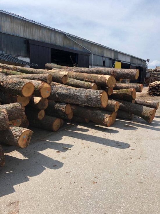 Oak Logs and Oak Planks for Sale - greentimbercoltd.com
